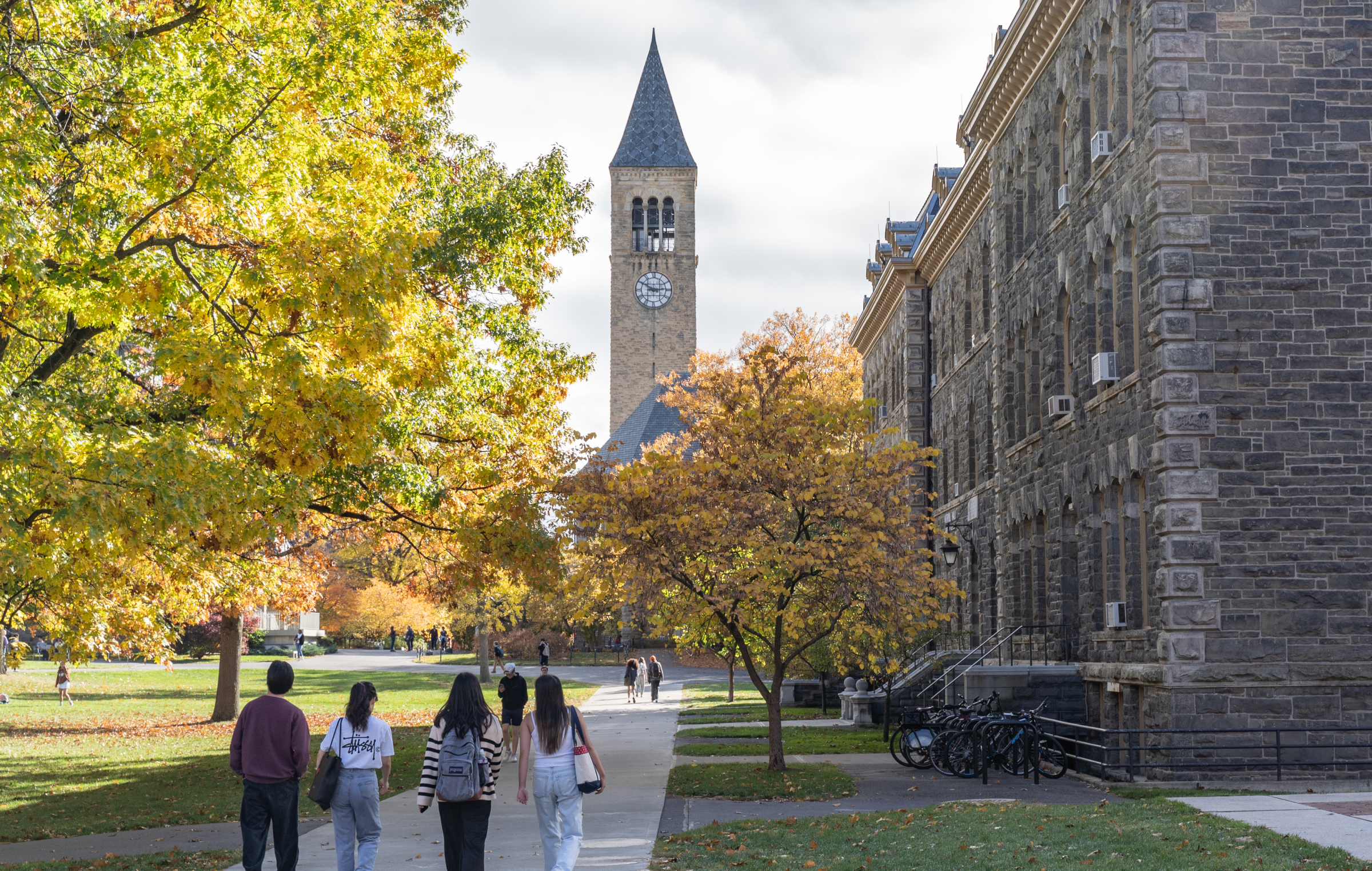 Personalized College Admissions Consulting & Essay Coaching Services ...